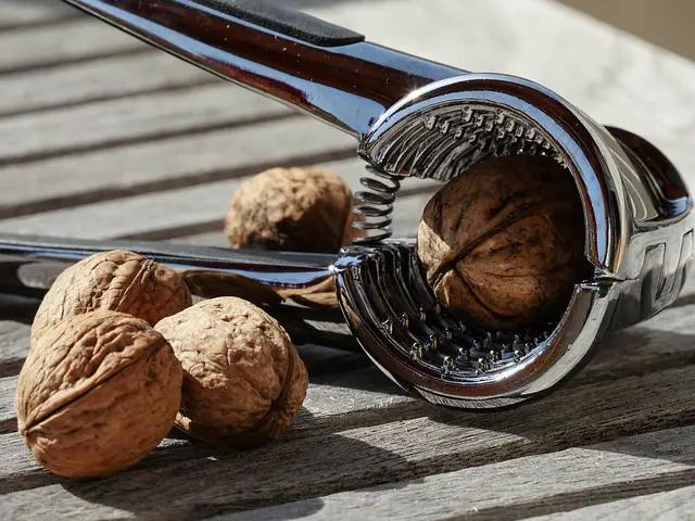 Types of levers:first, second, third class lever examples PhysicsTeacher.in