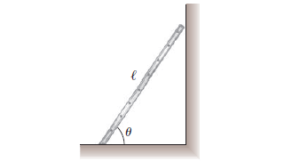 How to solve leaning ladder equilibrium numerical? - PhysicsTeacher.in