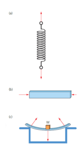 Shape change by Forces & stretching a spring - PhysicsTeacher.in