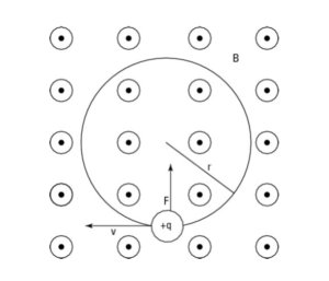 Orbital motion of a charge in the magnetic field & radius of the orbit ...