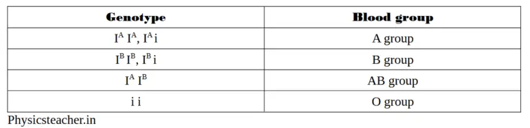 Alleles & Genotypes in human blood groups - multiple allelism ABO