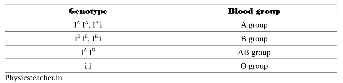 Alleles & Genotypes in human blood groups - multiple allelism ABO